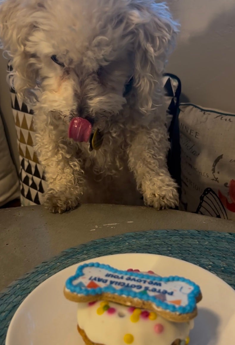 Dogs-n-Donuts